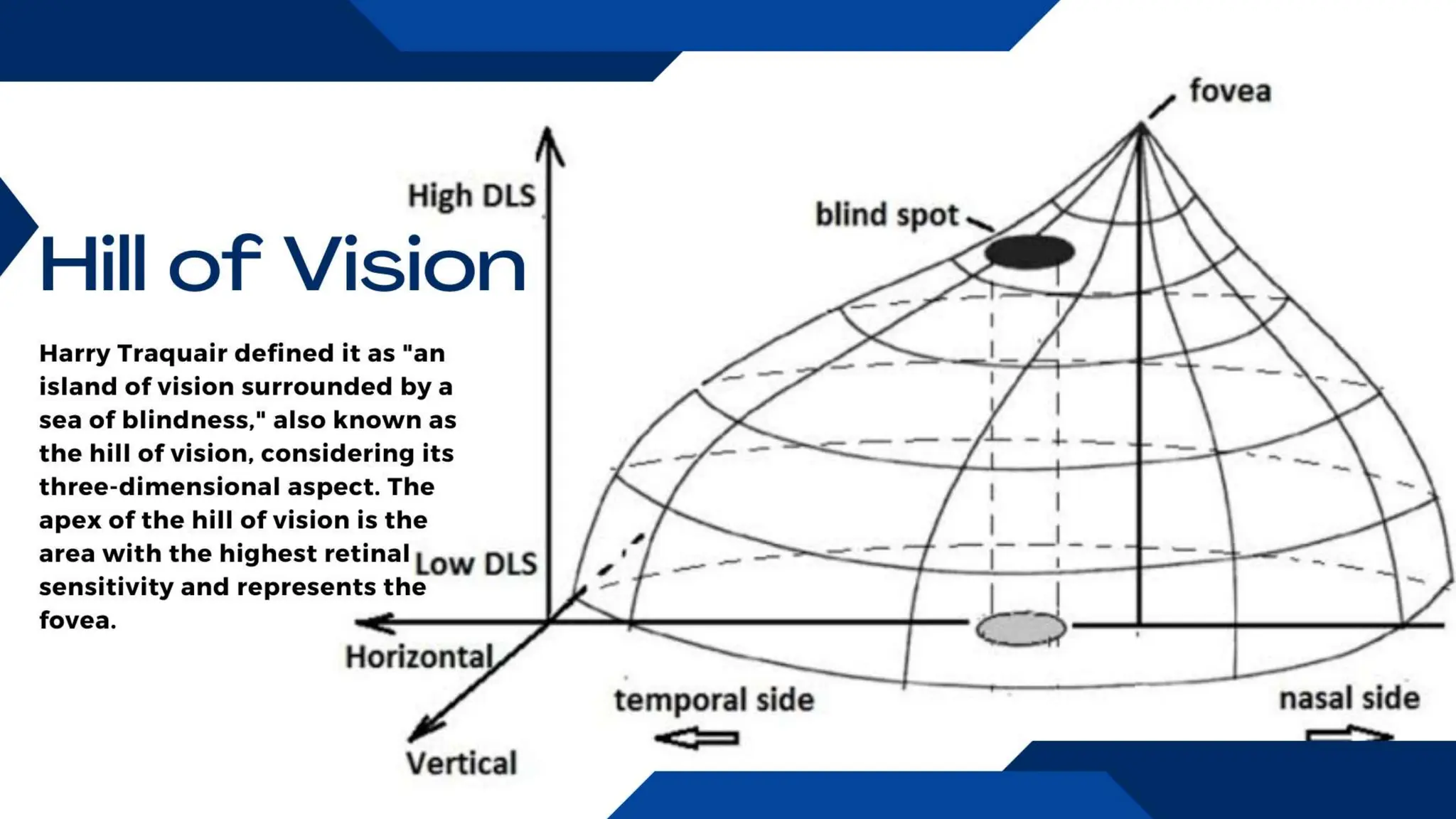 Title: Understanding Visual Field: The Window to Our Visual World.pptx