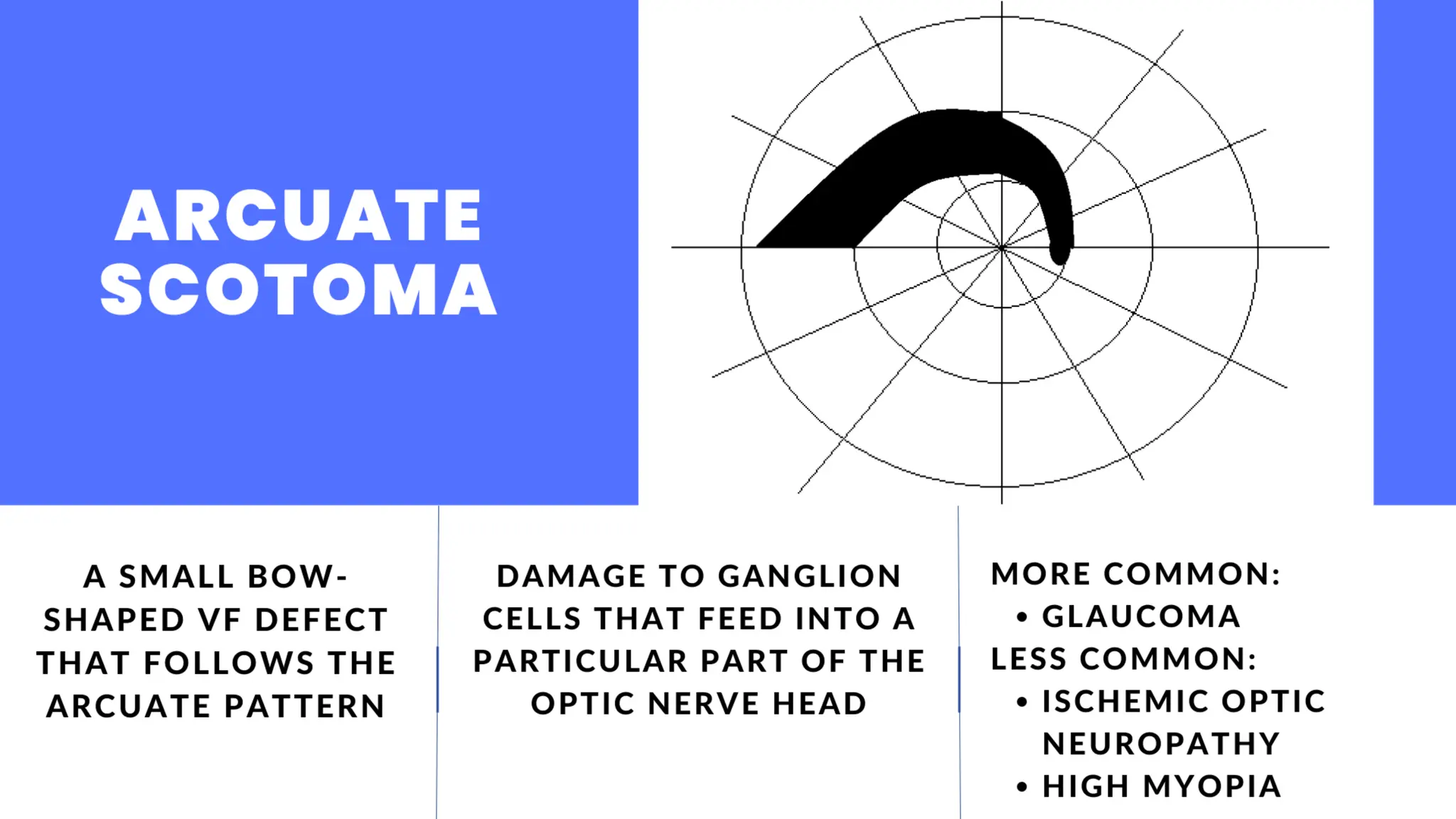 Title: Understanding Visual Field: The Window to Our Visual World.pptx
