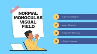 Title: Understanding Visual Field: The Window to Our Visual World.pptx