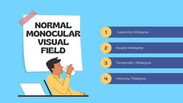 Title: Understanding Visual Field: The Window to Our Visual World.pptx