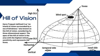 Title: Understanding Visual Field: The Window to Our Visual World.pptx