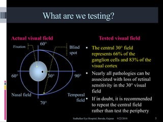 Visual field assessment | PDF
