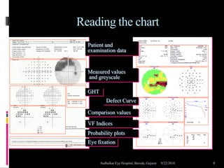 Visual field assessment | PDF