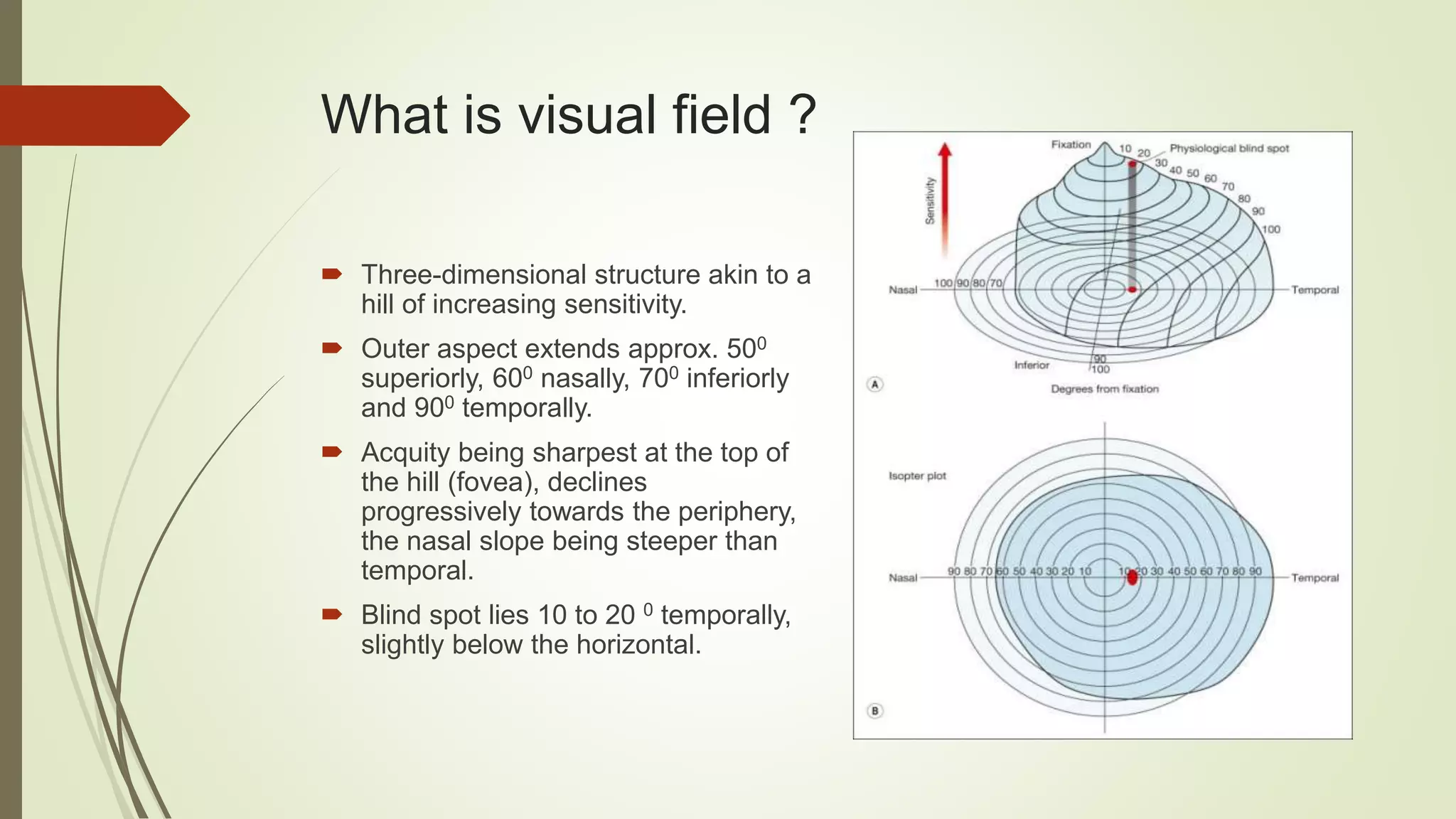 Visual field assessment,optic nerve changes and retinal changes | PPTX