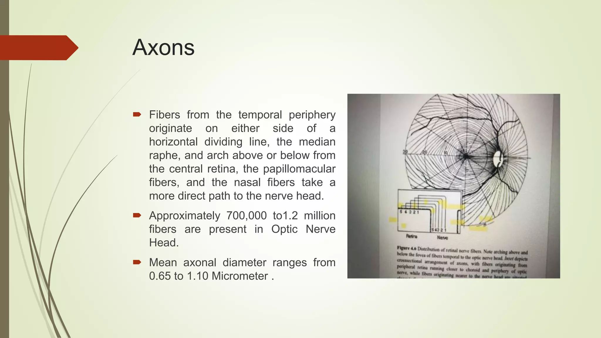 Visual field assessment,optic nerve changes and retinal changes | PPTX