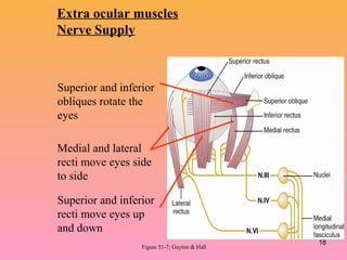 Visual field defects and light reflex | PPT