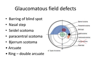 Visual field examination | PPT