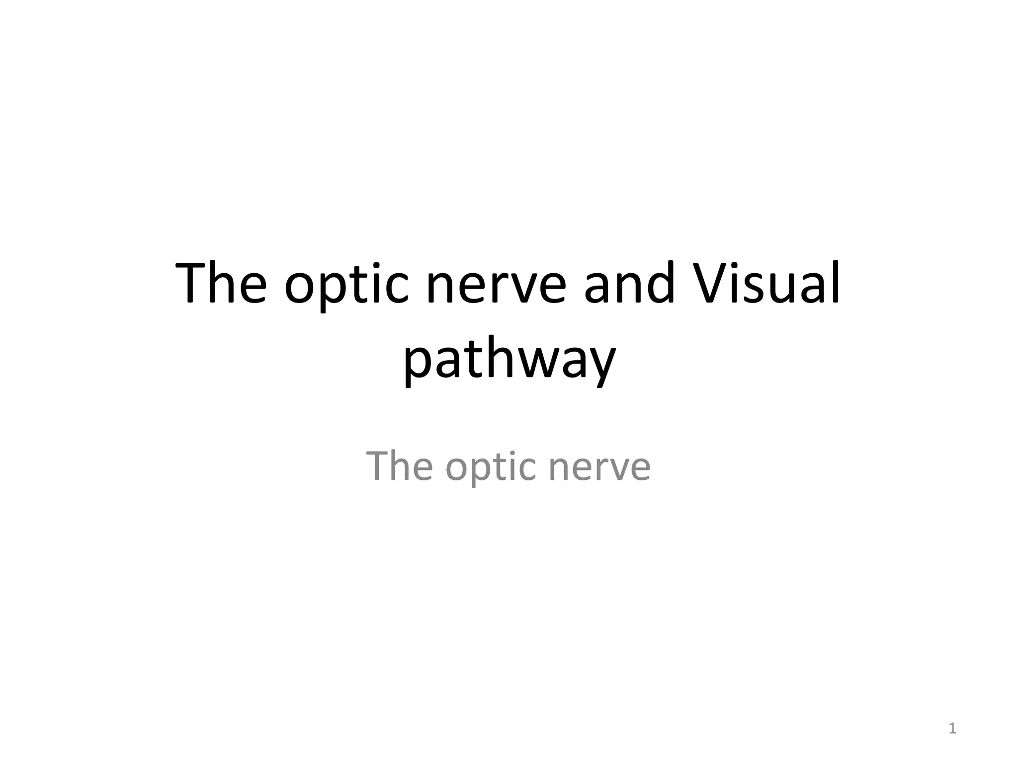 VISUAL FIELD AND PATHWAY (Neuroanatomy). | PPT