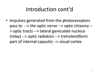 VISUAL FIELD AND PATHWAY (Neuroanatomy). | PPT