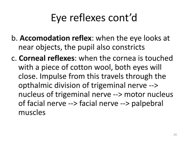 VISUAL FIELD AND PATHWAY (Neuroanatomy). | PPT