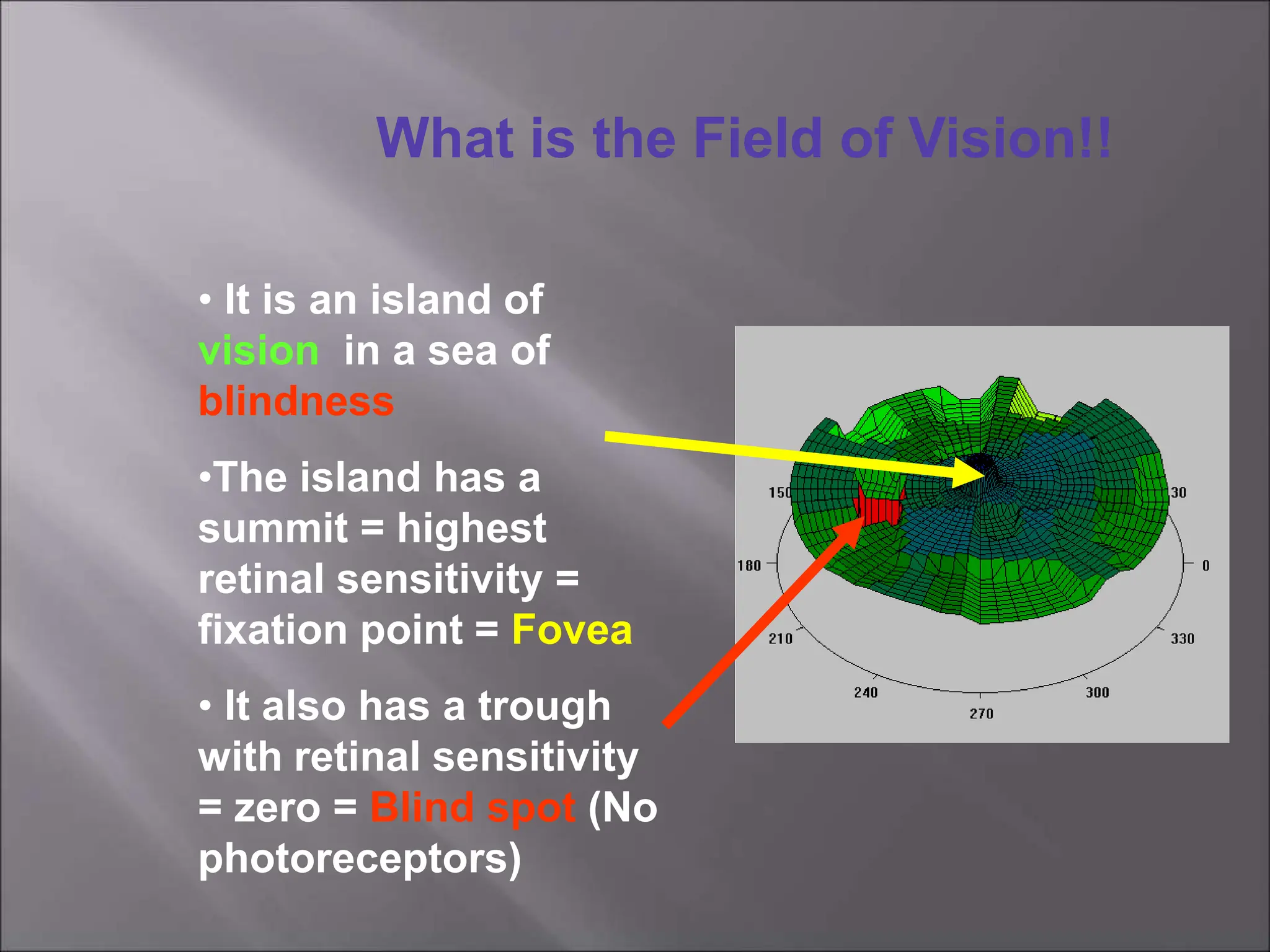 Visual Field presentation.nagla.ppt