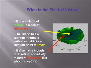 Visual Field presentation.nagla.ppt