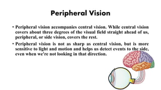 Visual field report | PPT