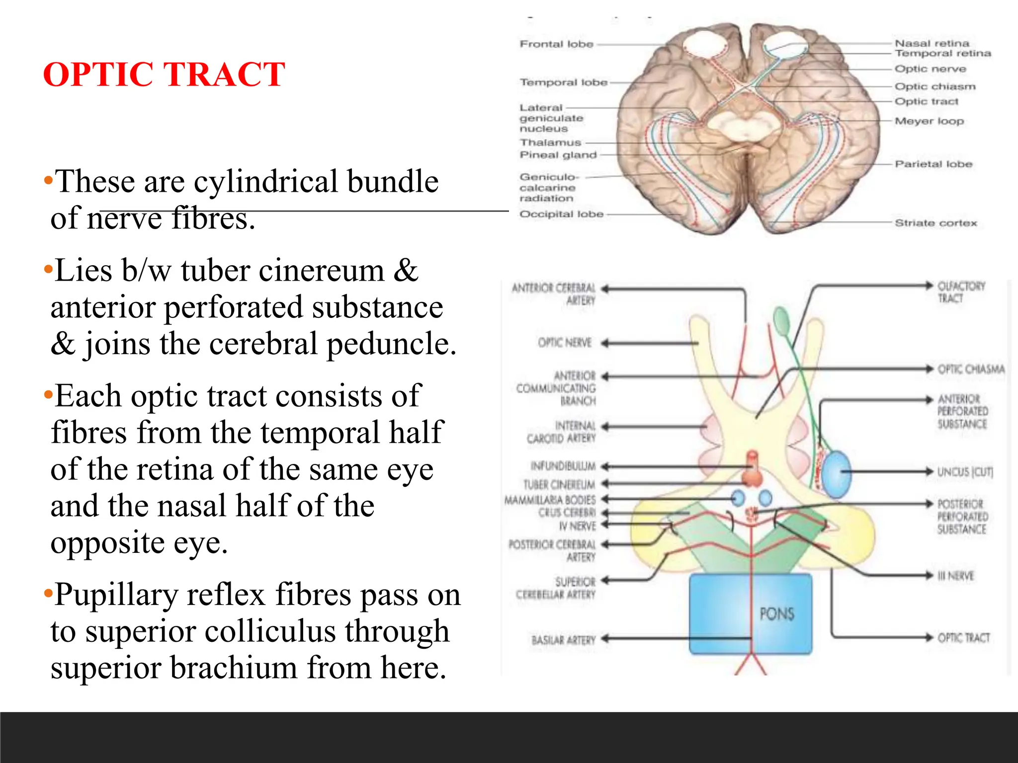 visual fields in neuro ophthalmology-part 1 | PPTX