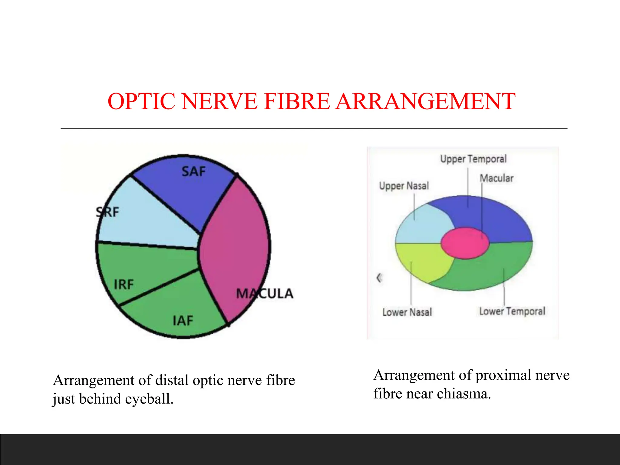 visual fields in neuro ophthalmology-part 1 | PPTX