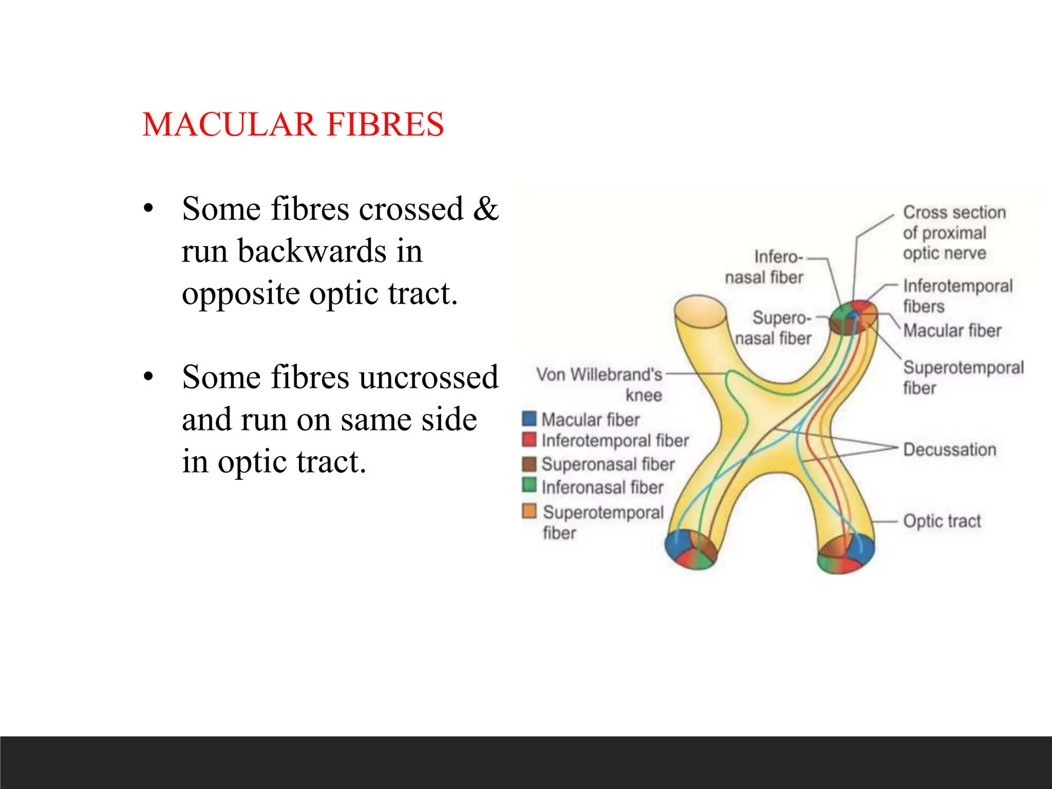 visual fields in neuro ophthalmology-part 1 | PPTX