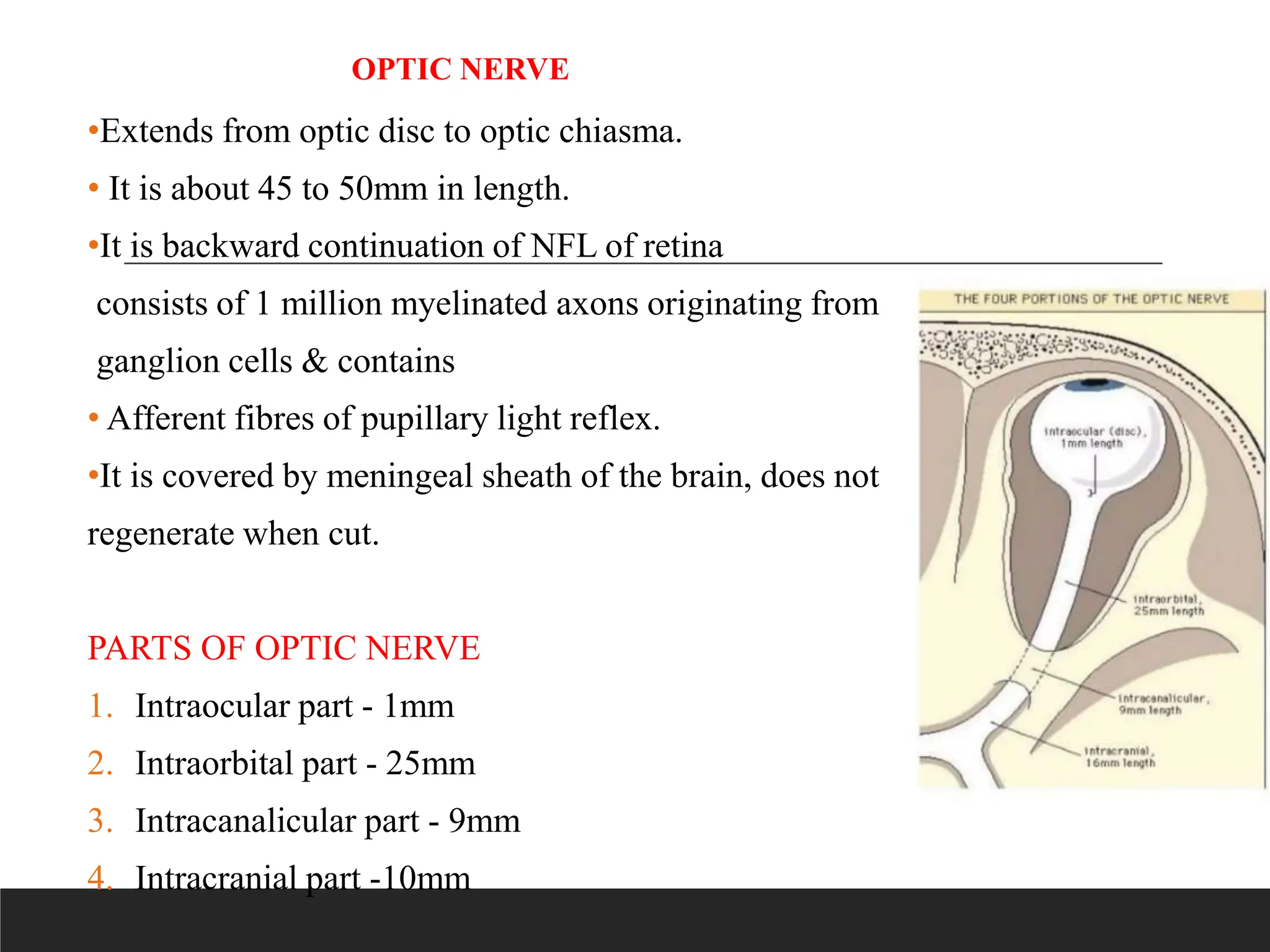 visual fields in neuro ophthalmology-part 1 | PPTX