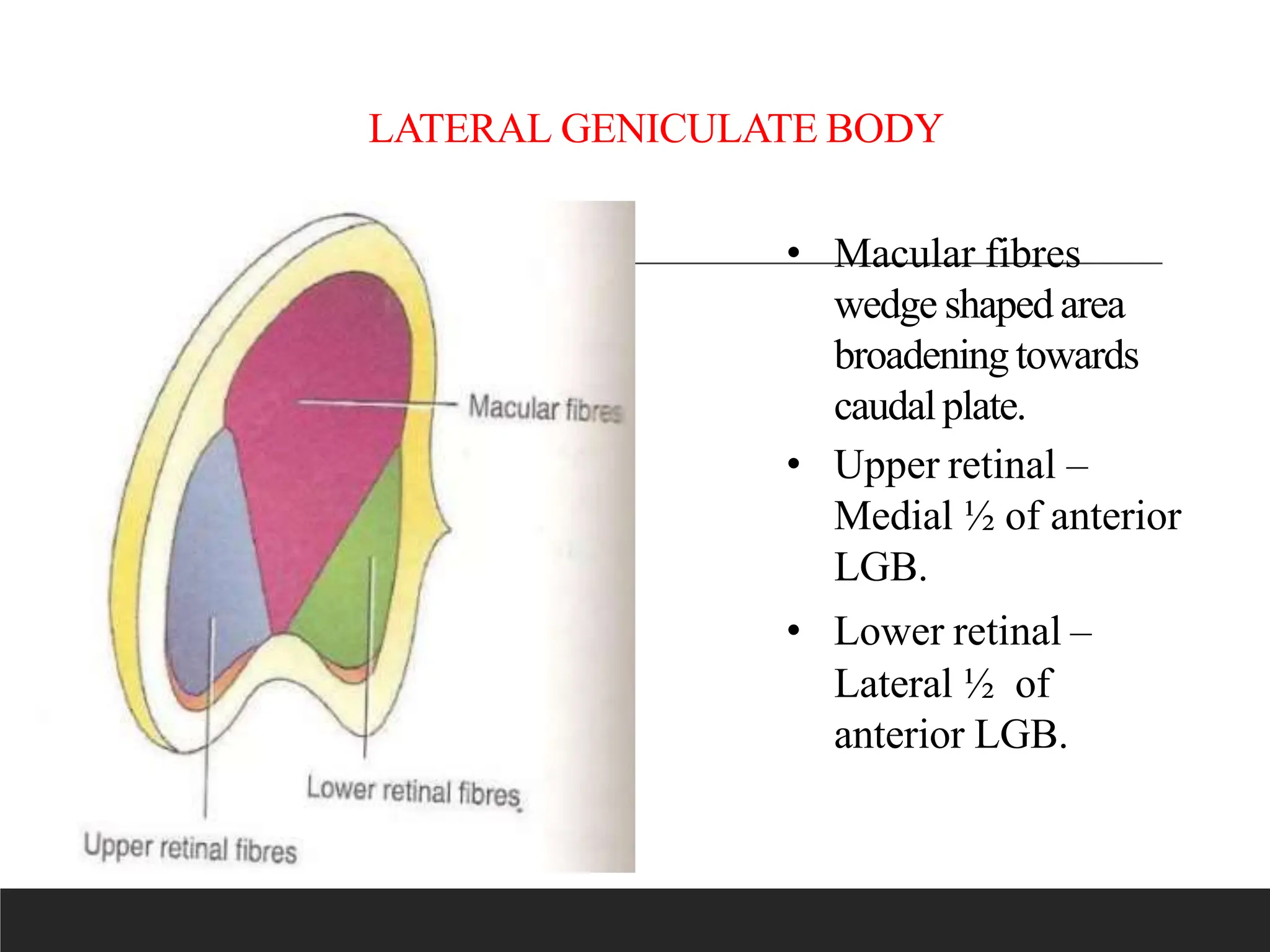 visual fields in neuro ophthalmology-part 1 | PPTX