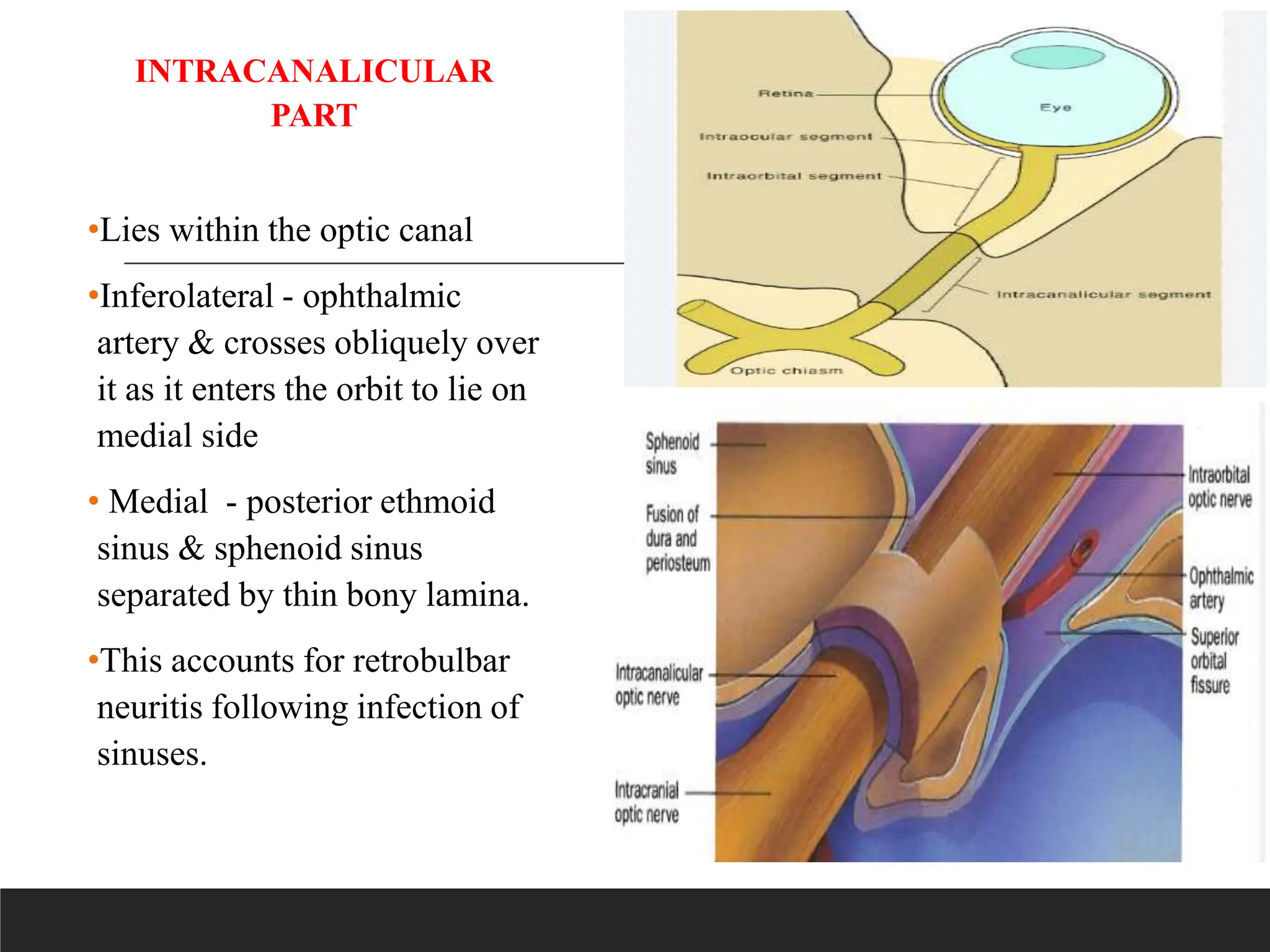 visual fields in neuro ophthalmology-part 1 | PPTX