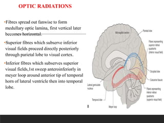 visual fields in neuro ophthalmology-part 1 | PPTX