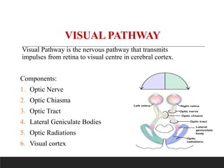 visual fields in neuro ophthalmology-part 1 | PPTX