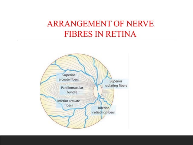 visual fields in neuro ophthalmology-part 1 | PPT