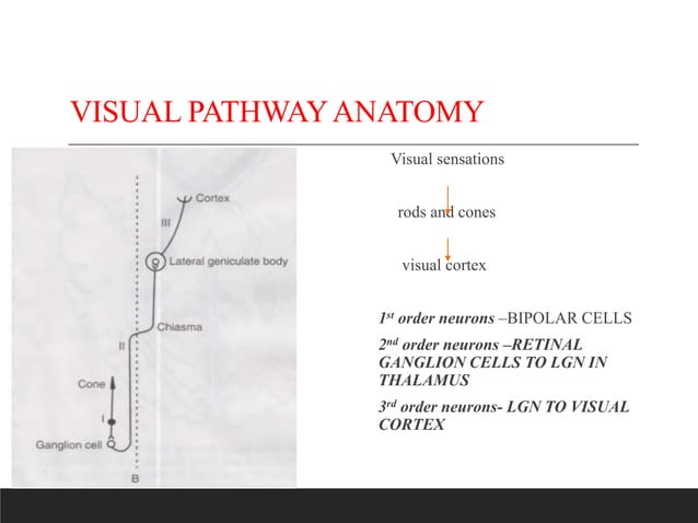 visual fields in neuro ophthalmology-part 1 | PPT
