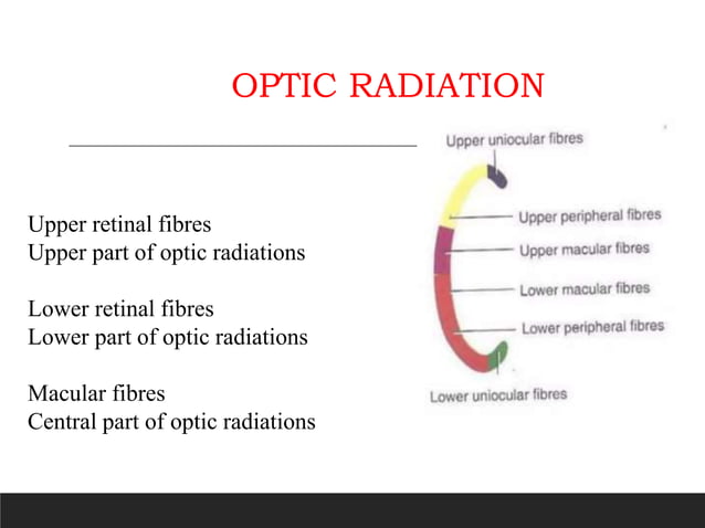 visual fields in neuro ophthalmology-part 1 | PPT