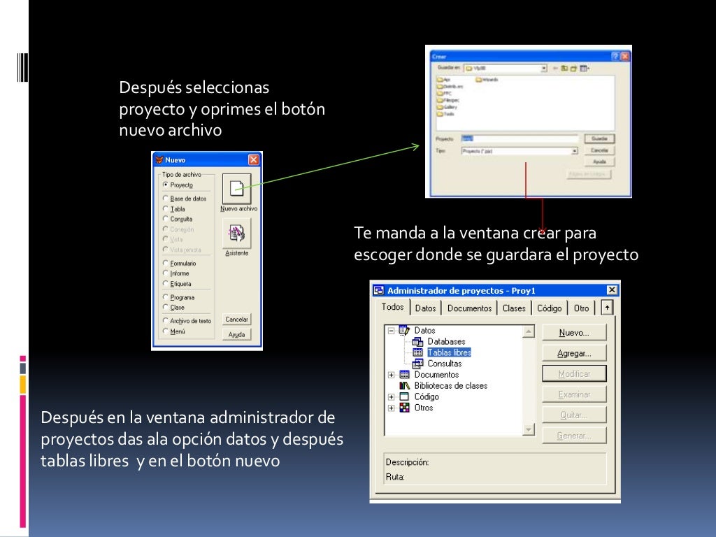 Visual Fox Pro 60