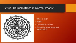Visual hallucinations | PPTX