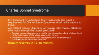 Visual hallucinations | PPTX