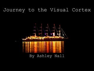 Vision and Hearing | PPTX