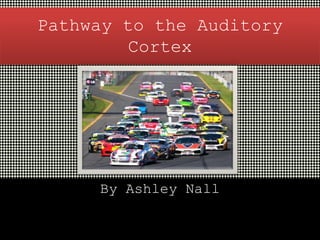 Vision and Hearing | PPTX