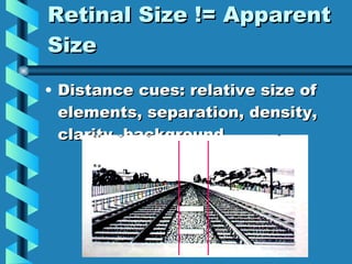Visual illusions | PPT