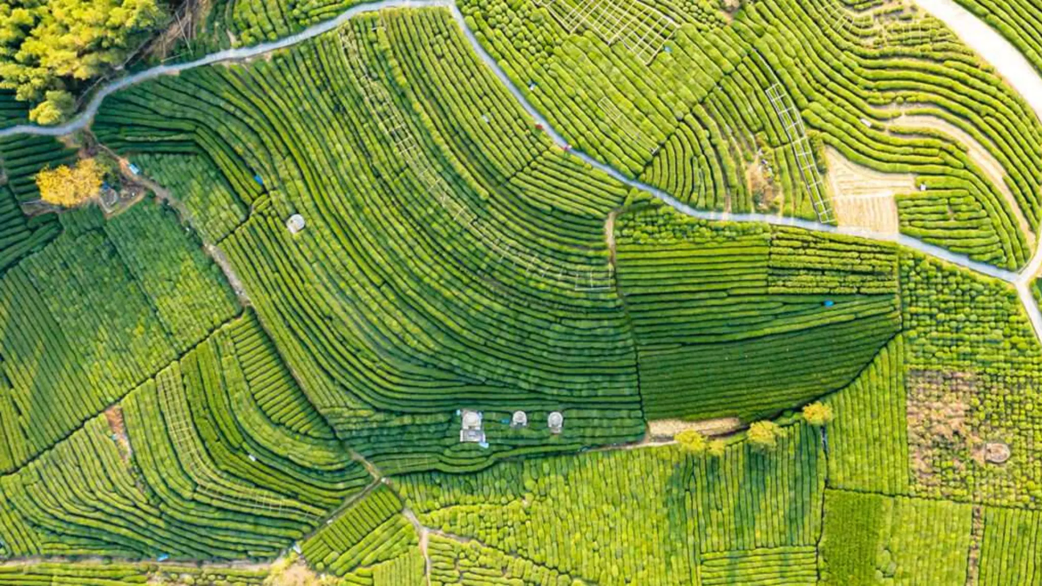 Visual Image Interpretation in Remote Sensing | PPTX