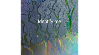 Visual Image Interpretation in Remote Sensing | PPTX