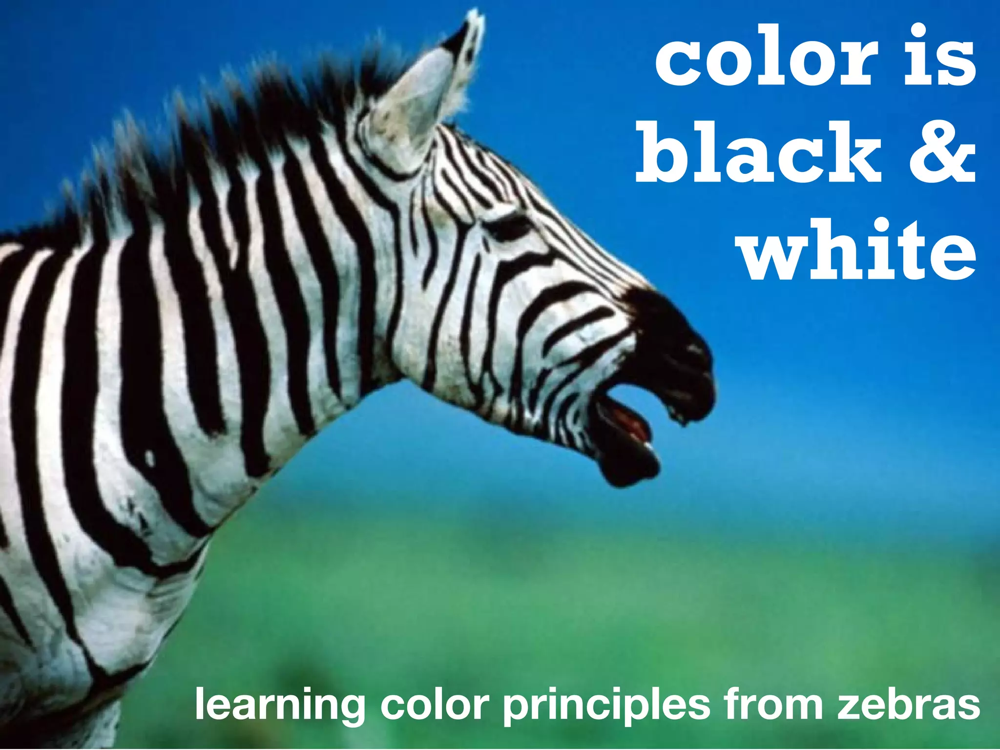 Creating Visual Impact | PPT