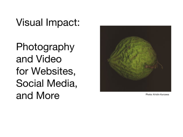 Visual Impact: Photography and Video for Websites, Social Media and ...