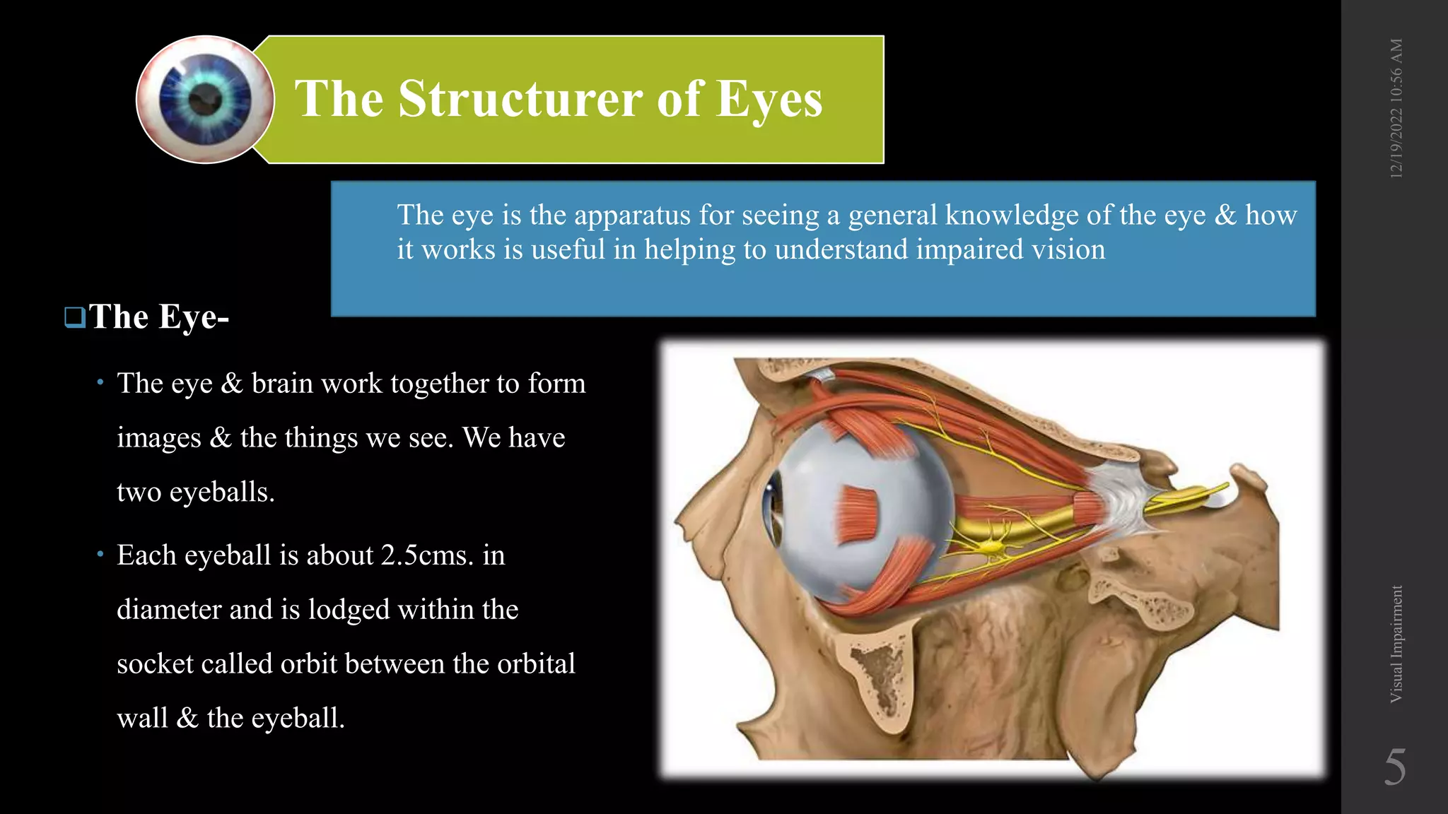 Visual Impairment | PPTX