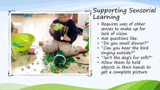 learnersVisual Impairment Presentation.pdf