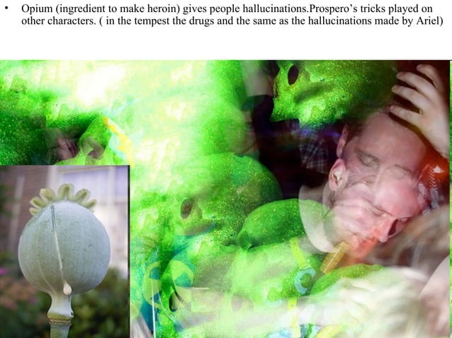 Visual influences | PPT