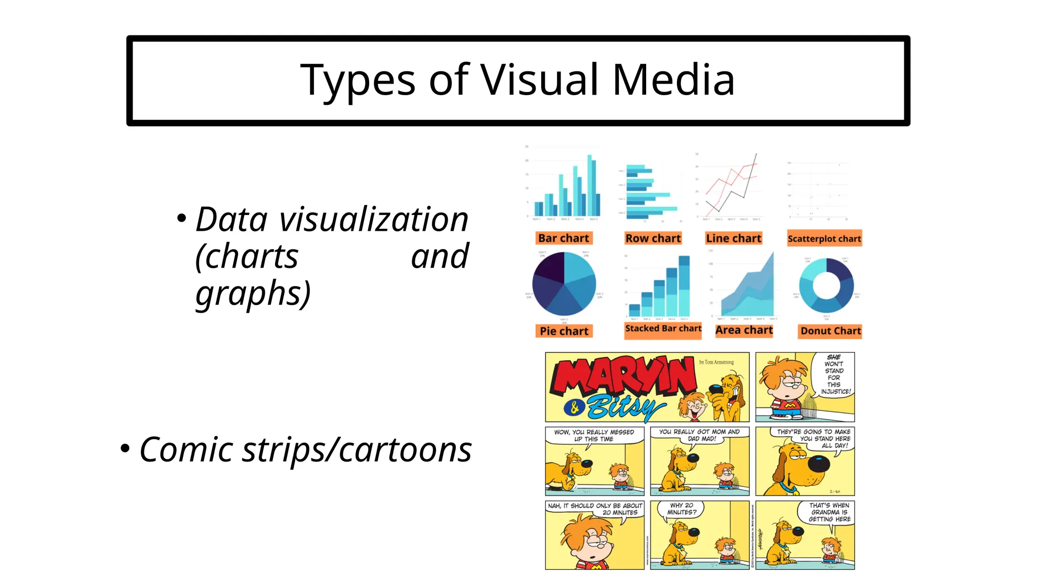 Visual Information and Media (MIL)..pptx
