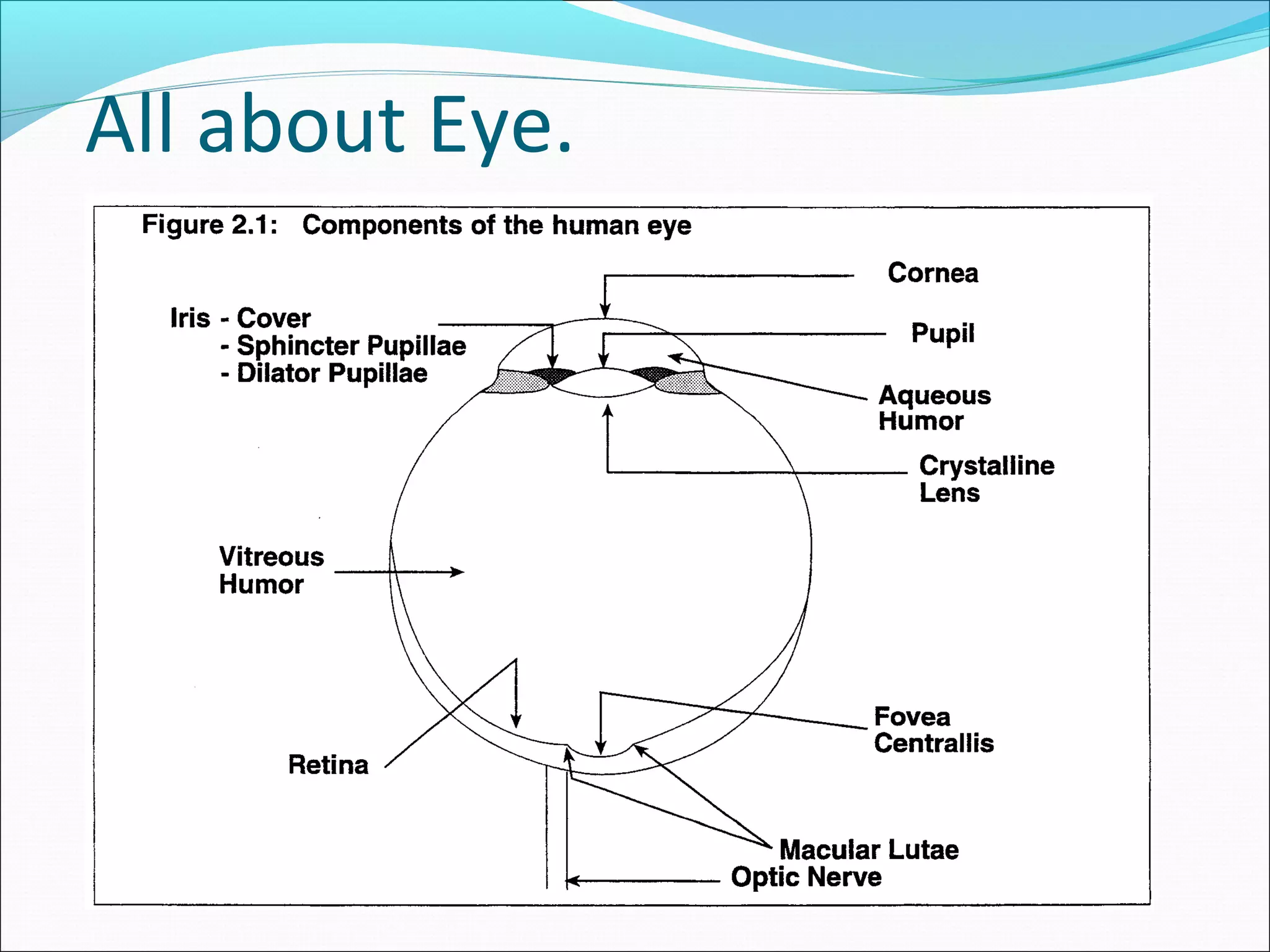 Visual inspection Basic _Kingston R | PPT