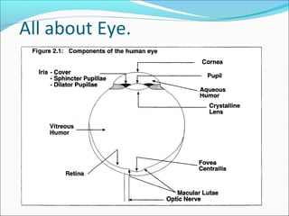 Visual inspection Basic _Kingston R | PPT