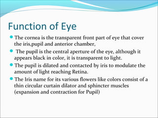 Visual inspection Basic _Kingston R | PPT