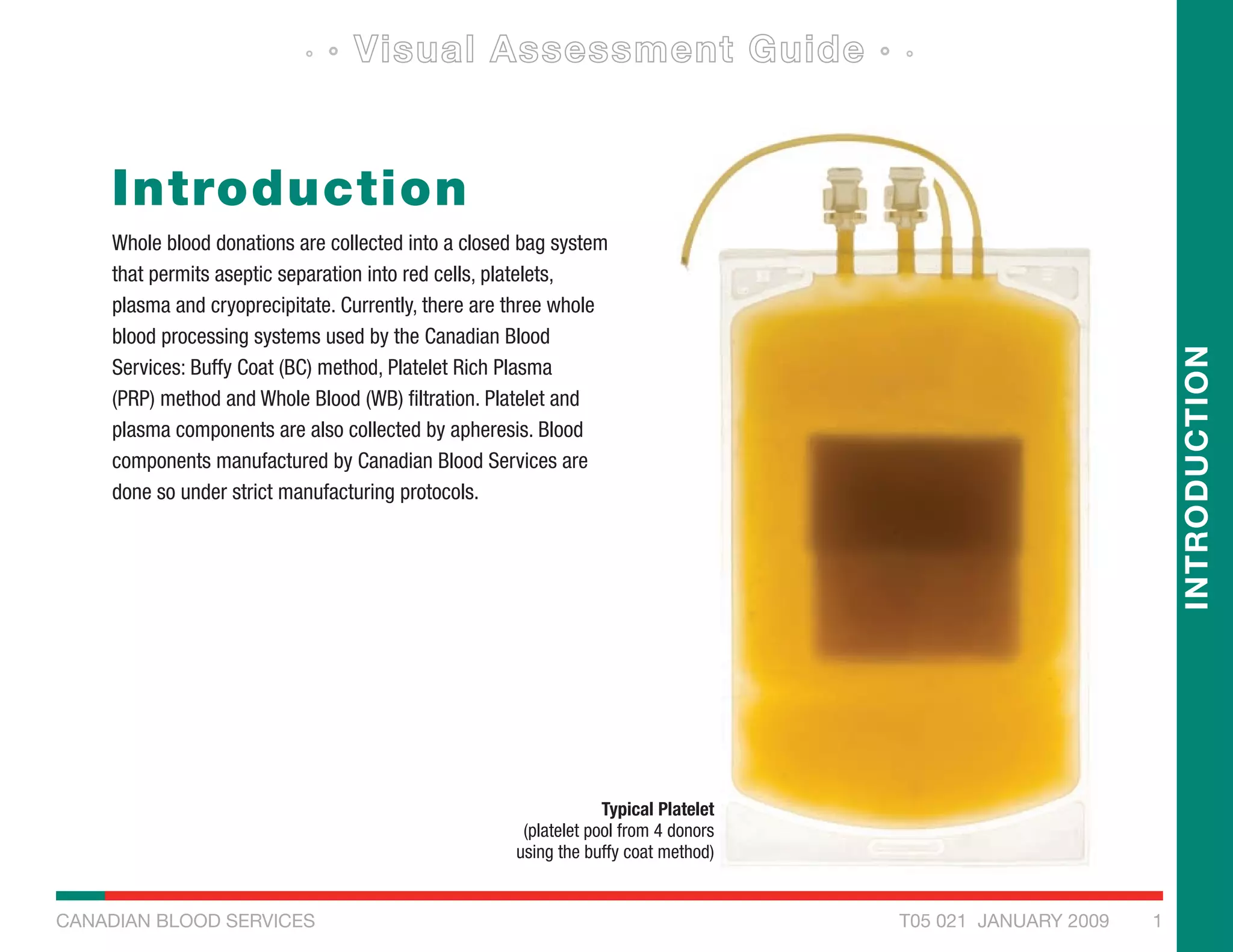 Visual inspection guide for blood compopnents | PDF