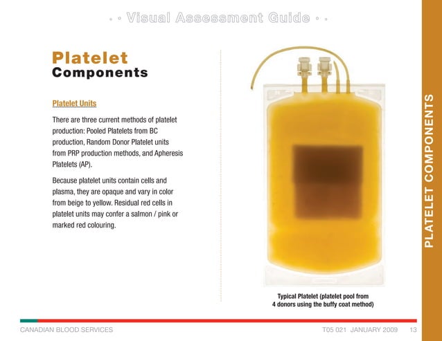Visual inspection guide for blood compopnents | PPT | Free download