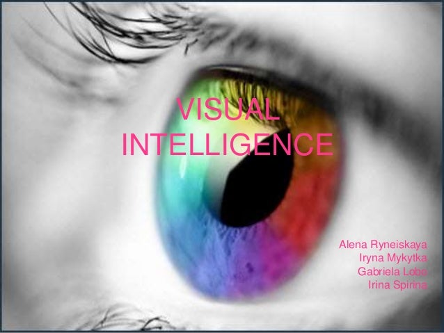 Visual Intelligence