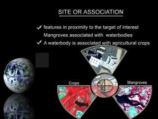 Visual Interpretation | PPT