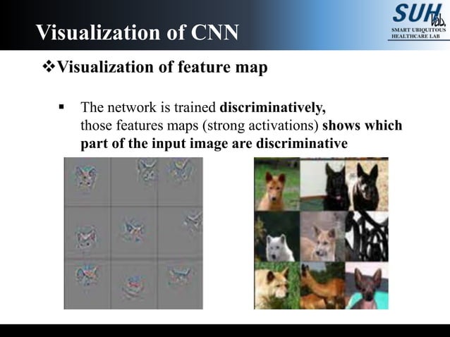 Visualizaing and understanding convolutional networks | PPTX | Artificial Intelligence ...